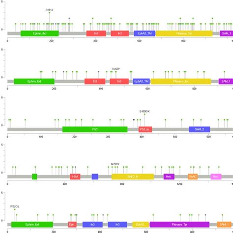 Gene Mutation Analysis Results And Corresponding Data From The Cancer Download Scientific
