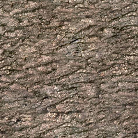 Seamless Tree Bark Texture By Cfrevoir On DeviantArt