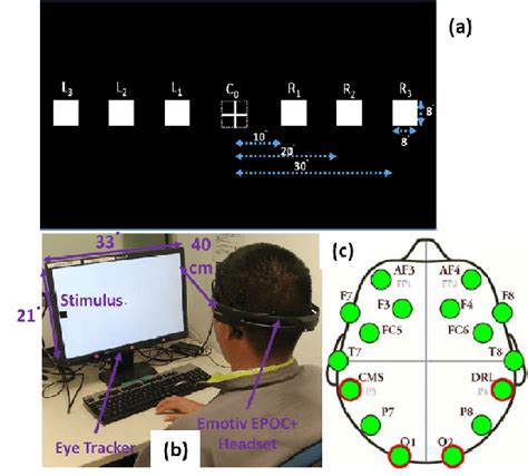 Experiment Design And Setup A Stimulus Layout B Hardware Setup With Download Scientific