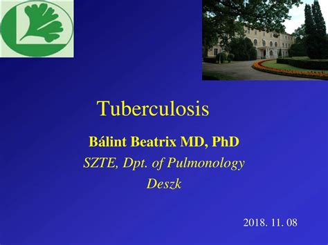Ppt Tuberculosis Powerpoint Presentation Free Download Id9100749
