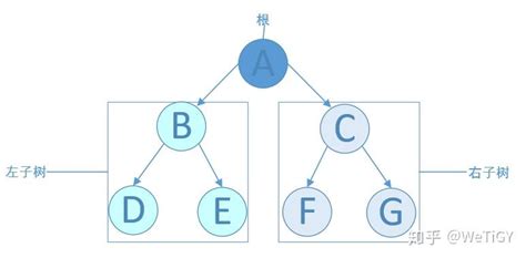 C C 数据结构二叉树 知乎