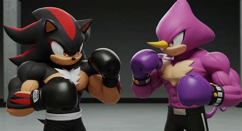 Shadow Vs Espio By Zekromlighter On Deviantart