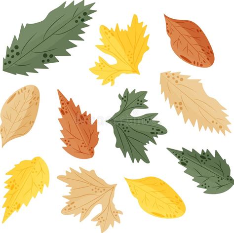 Set Of Autumn Leaves Of Various Shapes From Various Deciduous Trees
