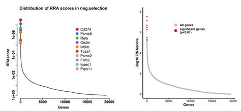 Crispr Screen——基因rra散点图 知乎