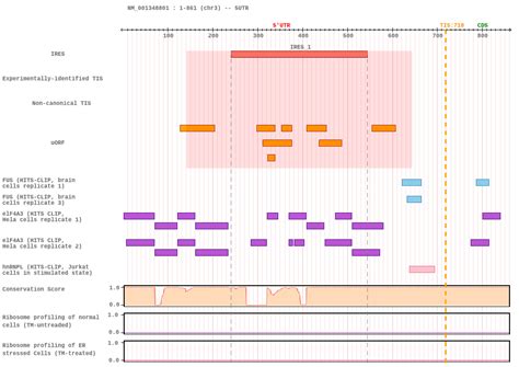 Human Ires Atlas Ires Detail
