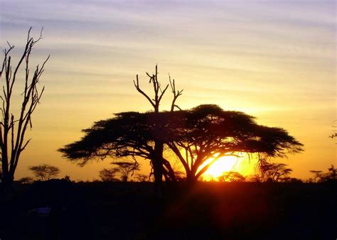 African Sunrise Wallpapers Top Free African Sunrise Backgrounds