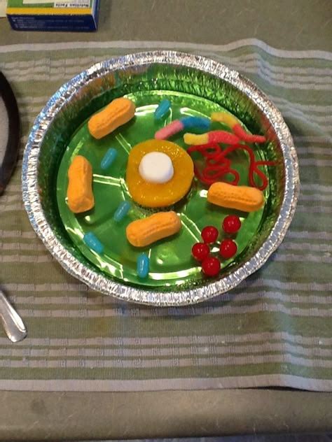 13 Candy Cell Model Ideas To Save Today Cell Model Cells Project