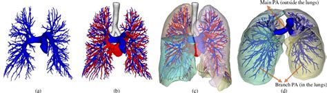 Efficient Automatic Segmentation For Multi Level Pulmonary Arteries The Parse Challenge