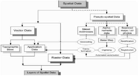 Types Of Spatial Data Yeung And Hall 47 Download Scientific Diagram