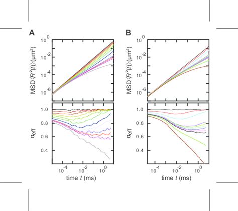 Figure S1: Evolution of the mean-squared displacement (Top Row ) and... | Download Scientific ...