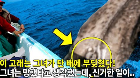 이 고래는 여자가 휴가를 보낼 때 그녀가 탄 배에 부딪혔다그녀는 망했다고 생각했는데 신기한 일이 일어났다 Youtube