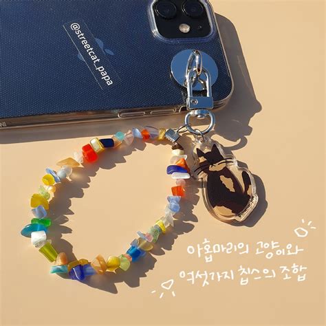 스트릿캣파파 갸우뚱🌝 스트릿캣파파 길냥이집사 냥집사 집사일기 길고양이 Instagram