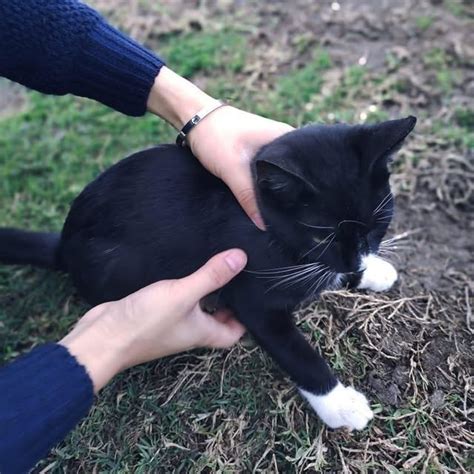 Lalli Lallipop Candy Threads Say More