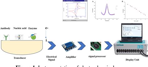Figure 1 From Carbon Nanomaterial Based Electrochemical Sensor In Biomedical Application A