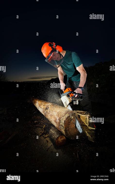 A Man Cutting A Tree Trunk In Half Lengthways With A Chainsaw Under A Floodlight Stock Photo Alamy