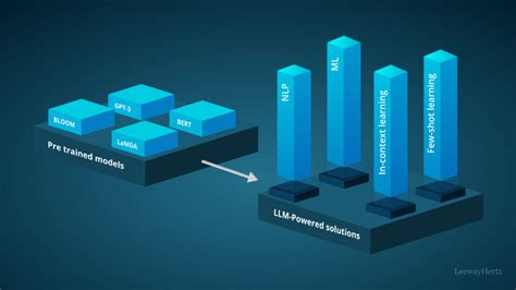 custom domain specific llm development company