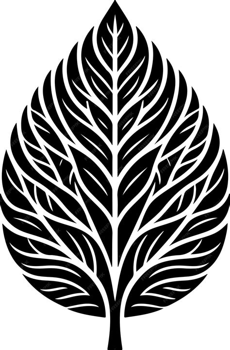 Leaf Shape Vector Silhouette Black Color Silhouette Solid Premium Ai