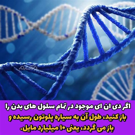 واقعیت های باورنکردنی و حیرت انگیز در مورد کارکرد بدن انسان که هر کسی