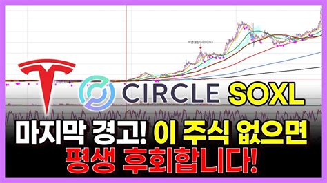 마지막 경고 이 주식 없으면 평생 후회합니다 테슬라 서클 Soxl 엔비디아 애플 Youtube
