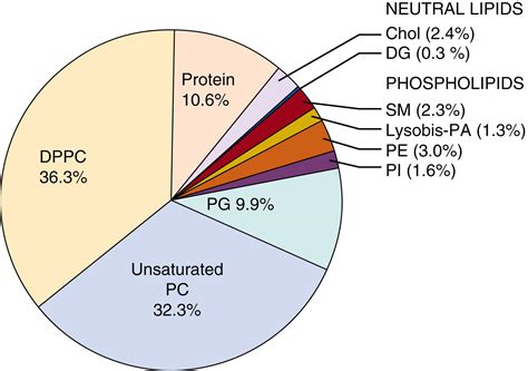 Surfactant Homeostasis Composition And Function Of Pulmonary Surfactant Lipids And Proteins