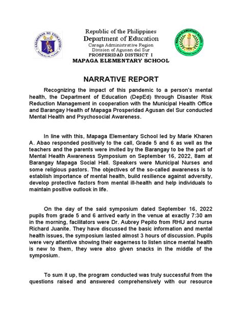 Mental Health Narrative Report Pdf