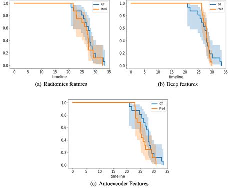 Figure 13 From Effective Approaches To Fetal Brain Segmentation In Mri