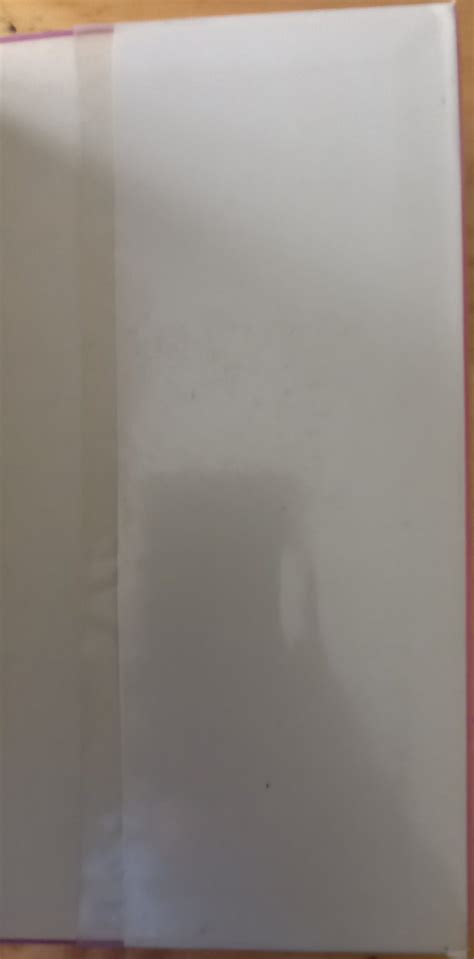 Dirk Se Hond Bello Meindert De Jong 1978 Northbynorth