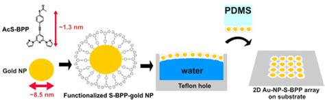 Figure 51 From The Influence Of Molecular Mobility On The Properties