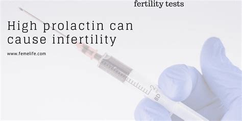 Why Prolactin Is Screened During Fertility Testing Wiki Health News