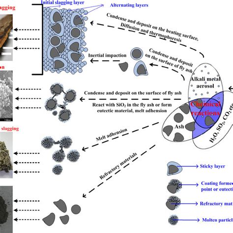 Effects Of Ashing Temperature On The Ashing Ratio And The Release Download Scientific Diagram