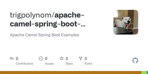 GitHub Trigpolynom Apache Camel Spring Boot Examples Apache Camel