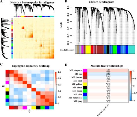 weighted gene coexpression network analysis wgcna of differentially