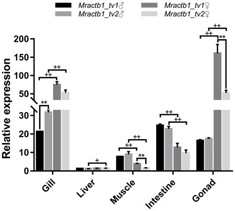 Molecular Characterization Of The Giant Freshwater Prawn Macrobrachium