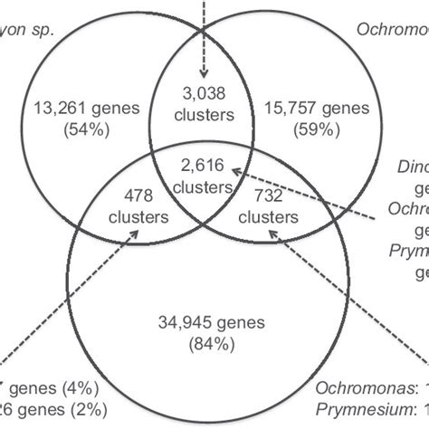 Summary Of Homologous Gene Clusters Among P Parvum Dinobryon Sp And