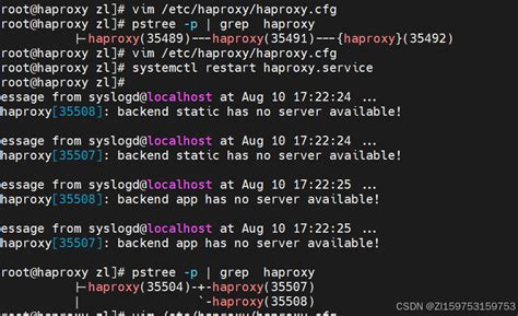 全网最详细haproxy配置haproxy配置详解 Csdn博客 全网最详细haproxy配置haproxy配置详解 Csdn博客