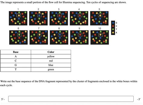 Solved The Image Represents A Small Portion Of The Flow Cell