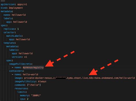 Setting Up A Private Docker Registry In Sap Cloud Sap Community