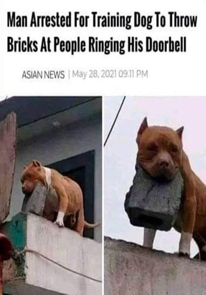 Latest Memes New Memes Memedroid Latest Memes New Memes Memedroid