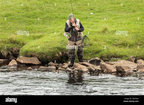 Laurence Catlow Fishing Author Fishing The River Tees Viewed From