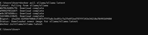 How to Run DeepSeek Locally with Ollama and Open WebUI in a Docker Container - Dotnet Copilot