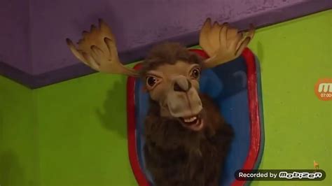 Doodlebops Season 1 Dont Pull The Rope Collection Youtube Doodlebops Seasons Season 1