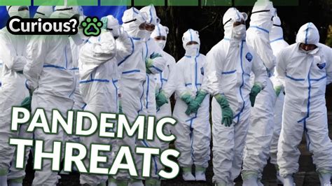 Virus Mutation Secrets Deadly Disasters Curious Natural World