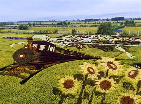 វាលស្រែ ពិតជាមានអត្ថប្រយោជន៍ ខ្លាំងណាស់ សម្រាប់មនុស្សគ្នា ហើយក៏ជារបរមួយដ៏ចាំបាច់