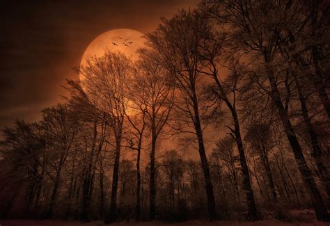 Spooky Wallpaper 68 Images
