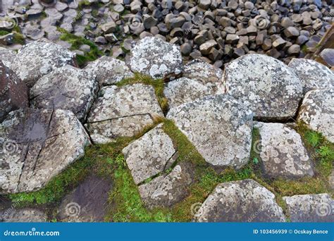 Basalt Columns Of Giants Causeway Stock Image Image Of Detailed Cliffs 103456939