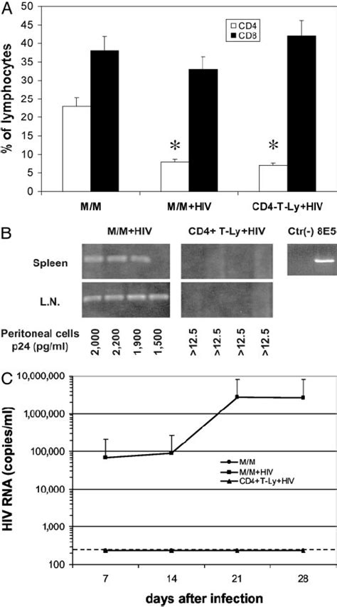 Hiv Infected Macrophages Induce Infection And Cd4 ϩ Depletion In Download Scientific Diagram