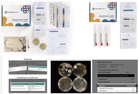 7 Steps To Avoid Mold Growth In The Winter