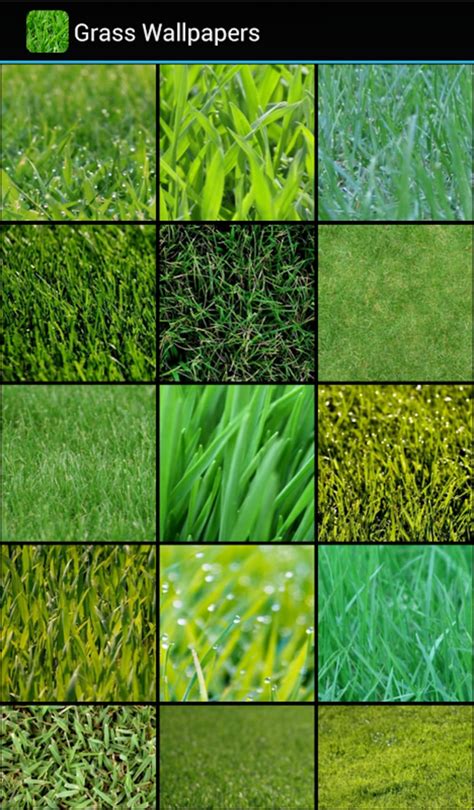 Grass Wallpapers Apk For Android Download