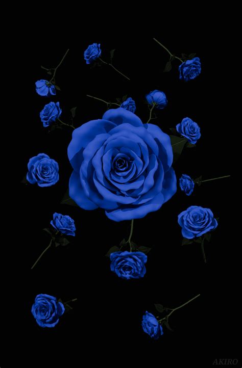 Ado Rose Phone Background Rado