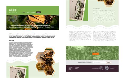 MDC Design Studio Queen City Pollinator Project